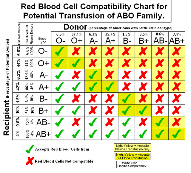 The Rarest Blood in the World – John Pullen